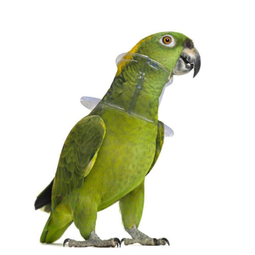 Bird E Collar; Bird Anti-bite Collar Parrot Anti-Plucking Neckband Bir ...